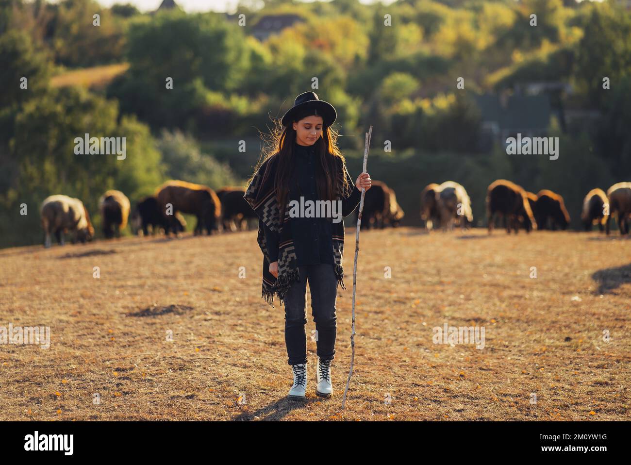 Female shepherd and flock of sheep at a lawn Stock Photo - Alamy