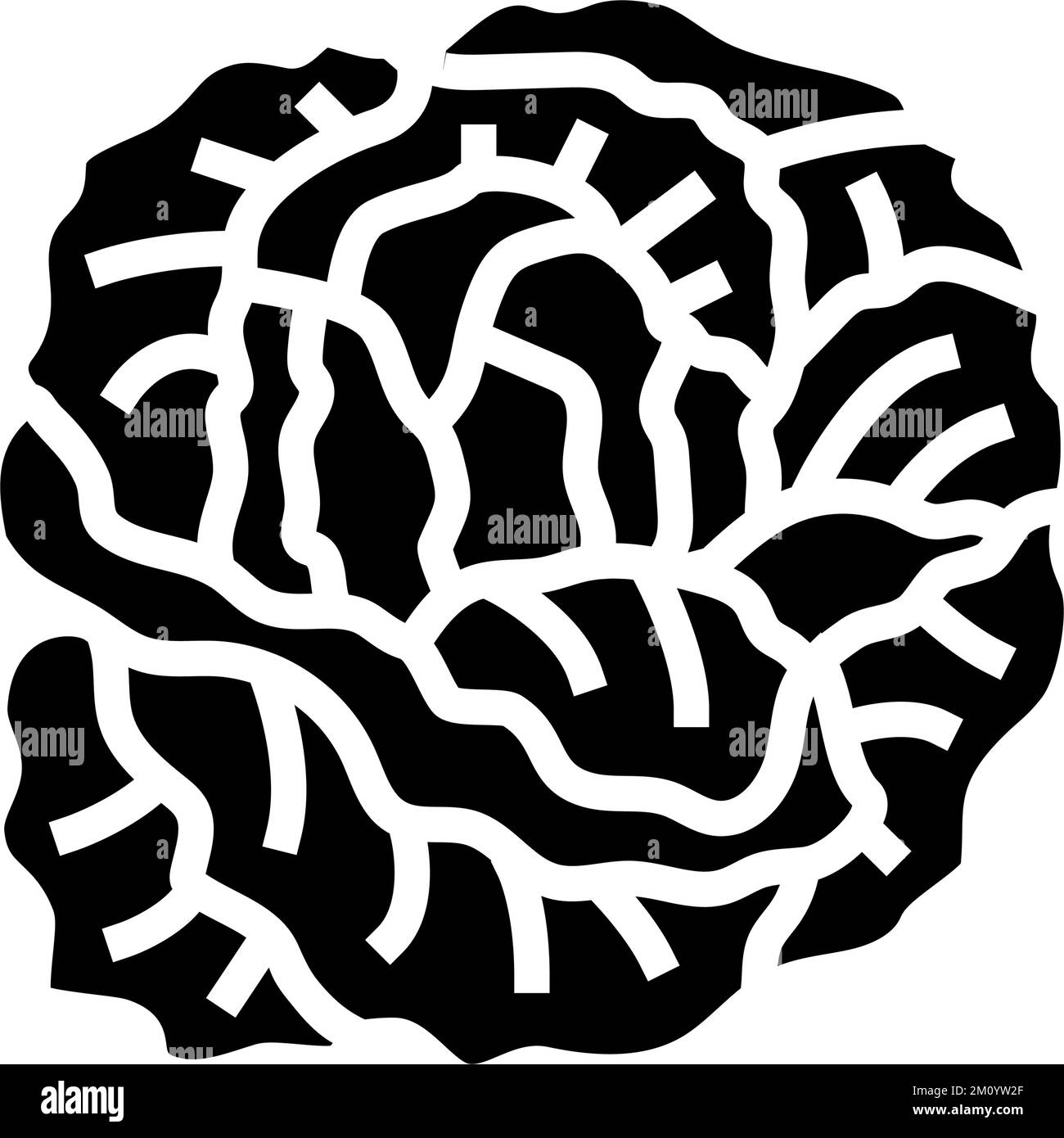 bibb salad food glyph icon vector illustration Stock Vector Image & Art ...