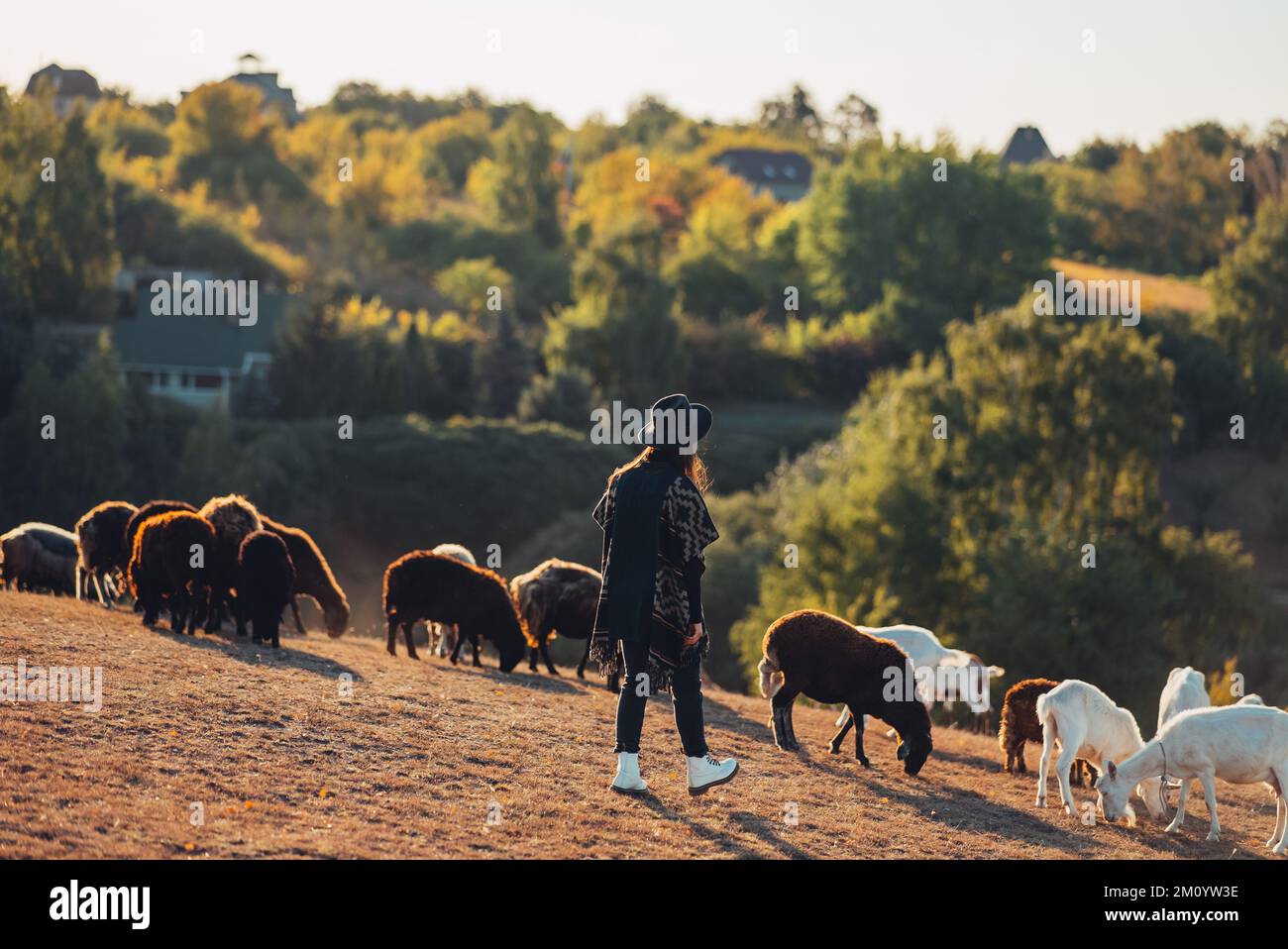 Female sheepherder hi-res stock photography and images - Alamy