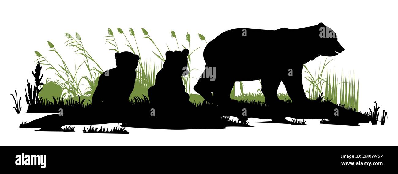 Grizzly bear cubs grass Stock Vector Images - Alamy