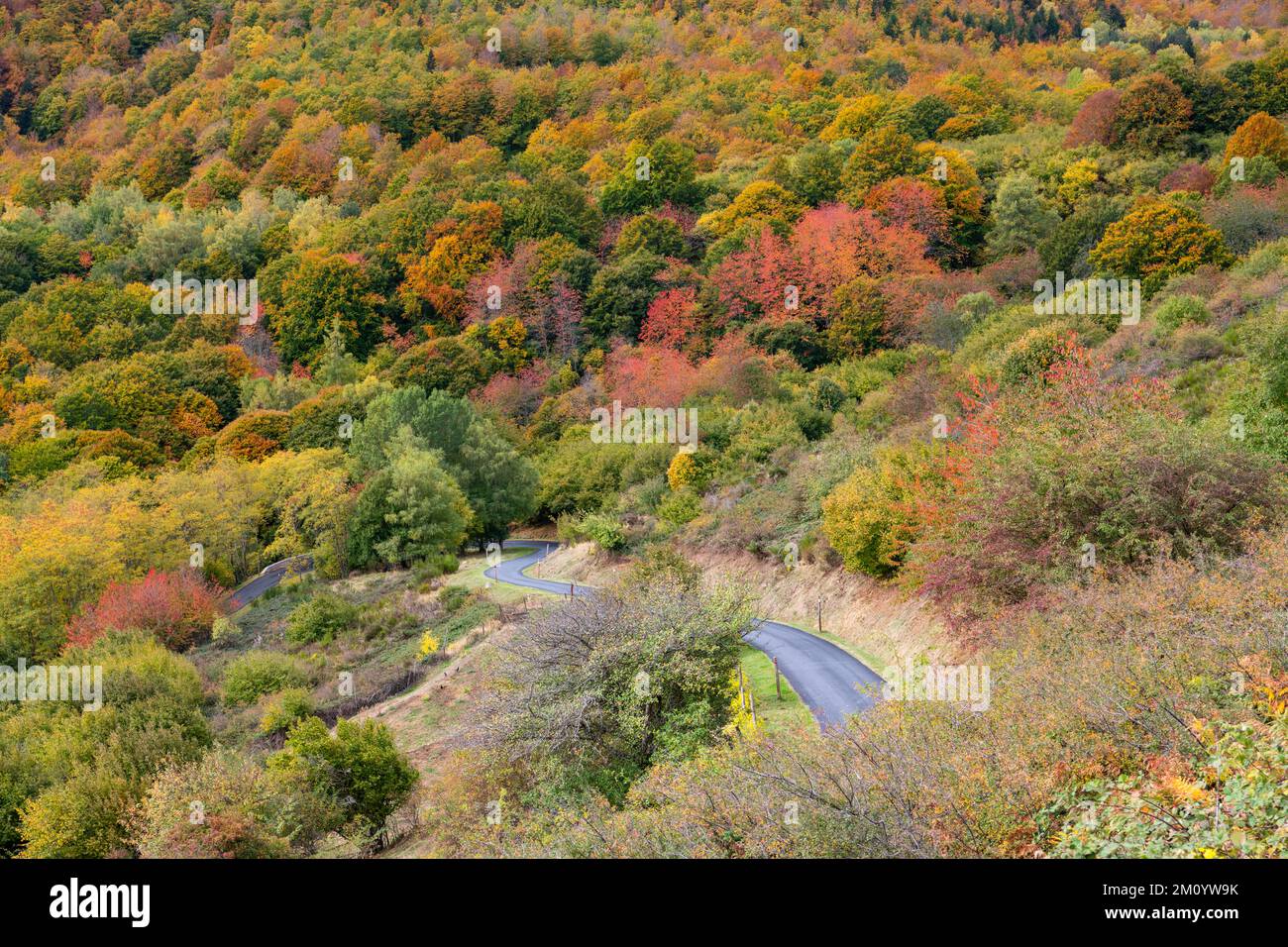 Highway through forest in fall colors in France's Pyrenees mountain ...