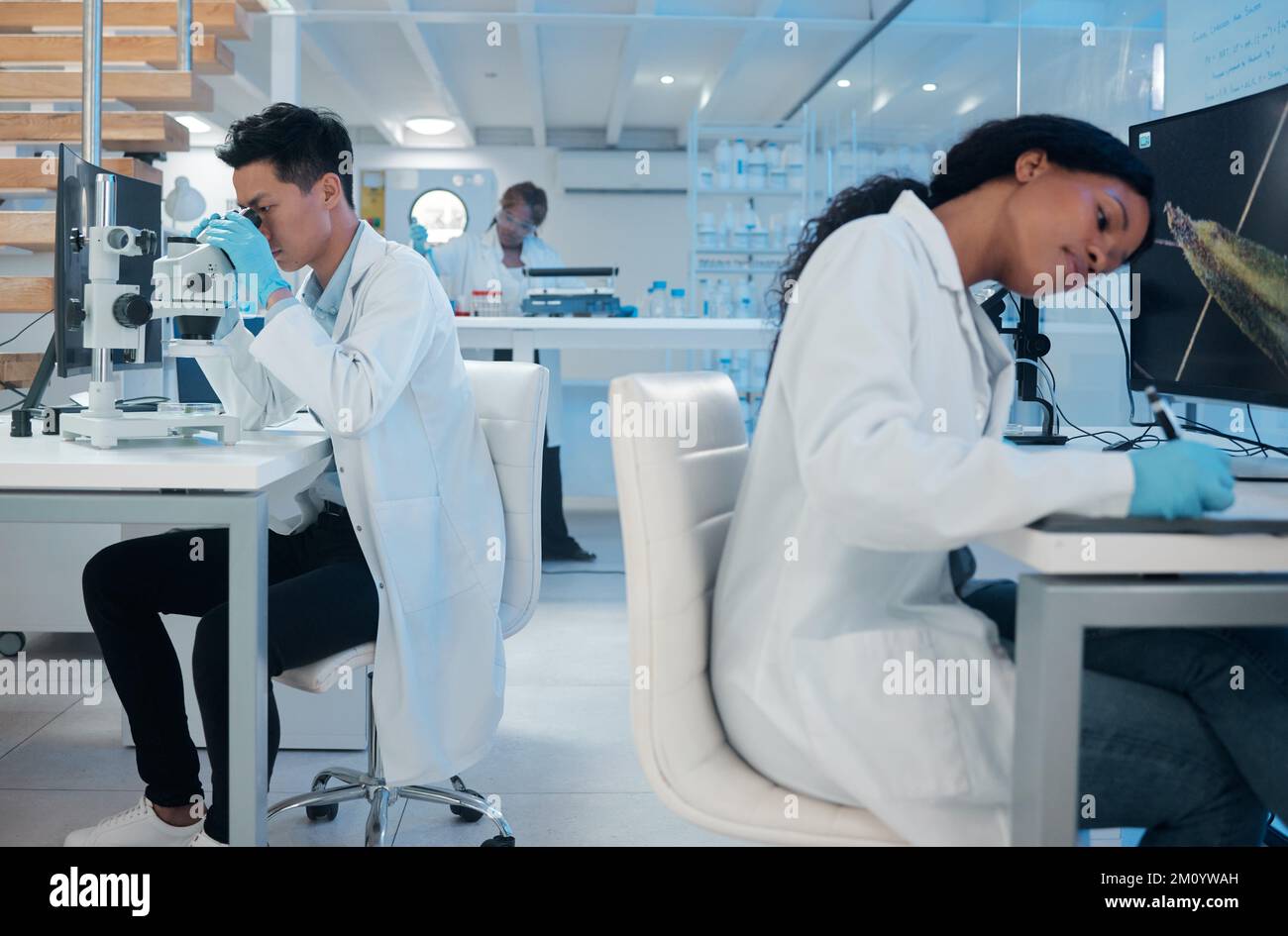 Woman working peacefully hi-res stock photography and images - Alamy