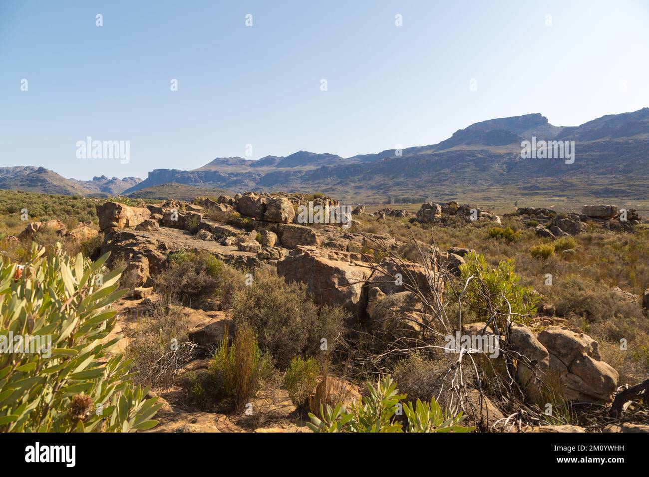 Landscape of the Cederberg Mountains with some rocks and blue sky Stock ...