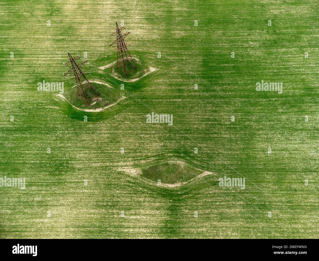 Power pylons in green field. Aerial view on Green wheat field with ...