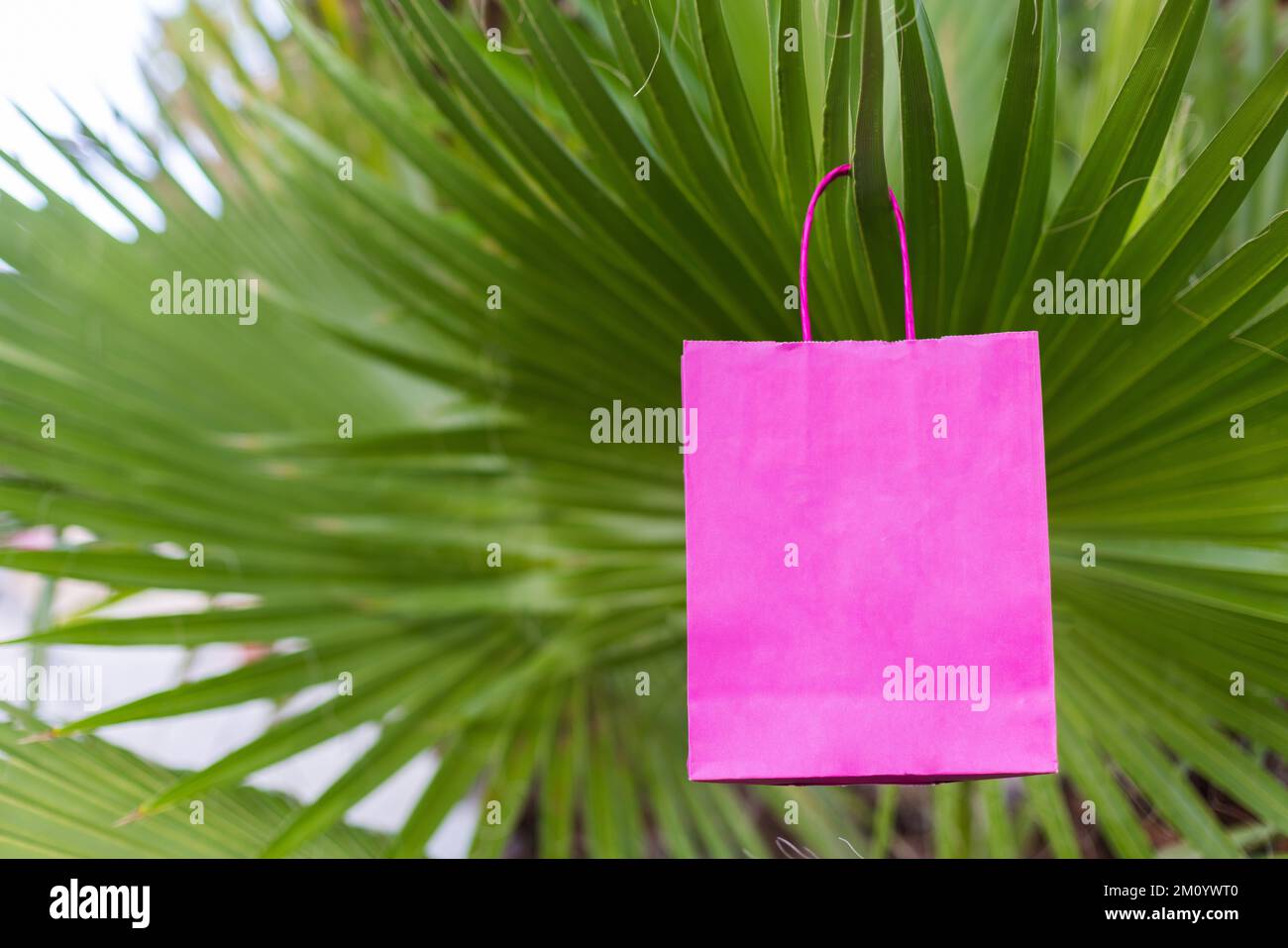 Pink paper bag on a palm leave, closeup. Mockup Stock Photo - Alamy