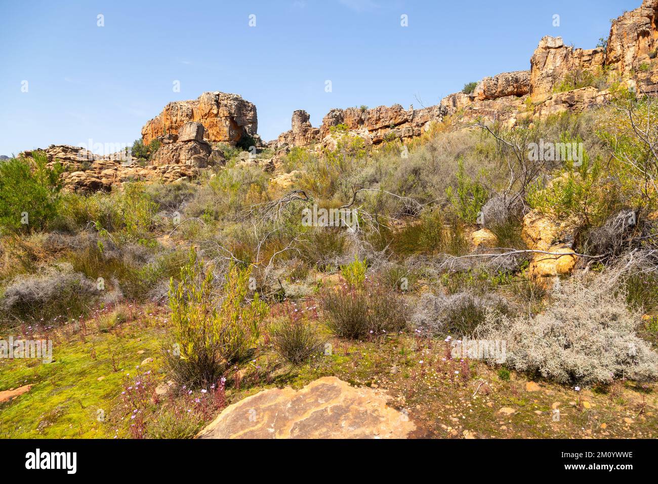 rocky and stony landscape along the Pakhuis Pass in the northern ...