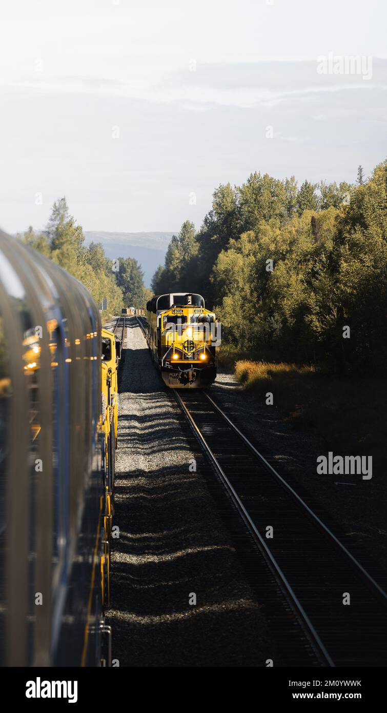 A vertical of Alaska railroad train heading south through Denali ...