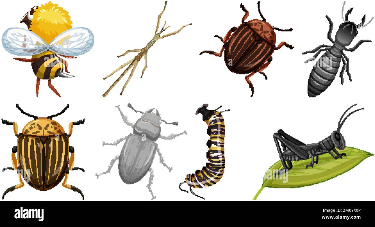 Collection of different insects vector illustration Stock Vector Image ...
