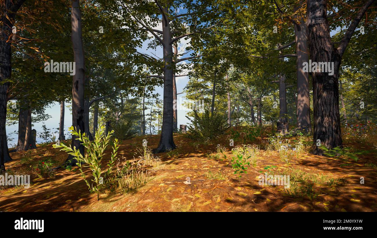 3D rendering. An immersive natural environment. Landscape to illustrate ...