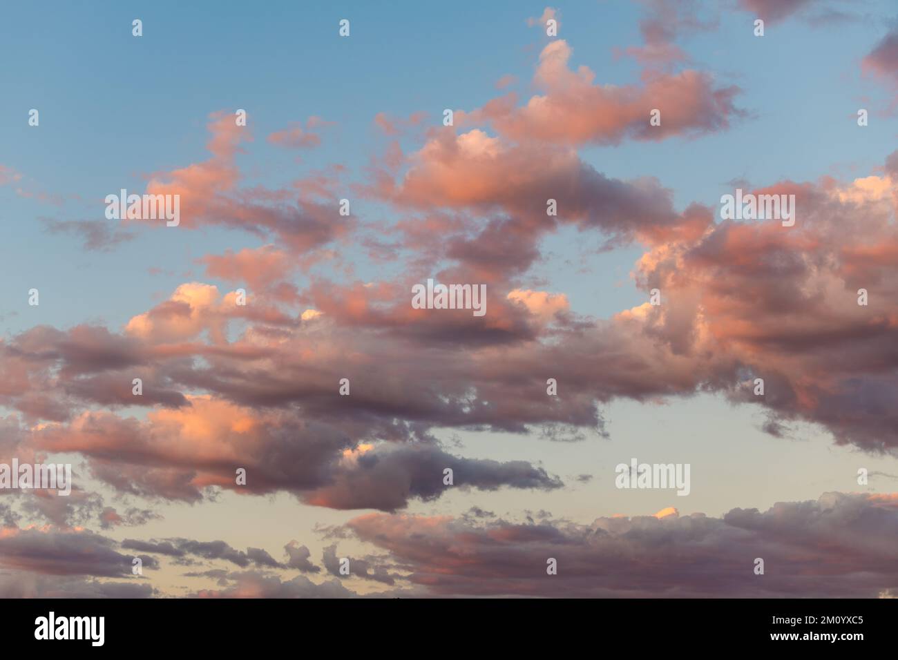 Sunset cloudscape of pink and purple clouds and blue sky, background image Stock Photo - Alamy