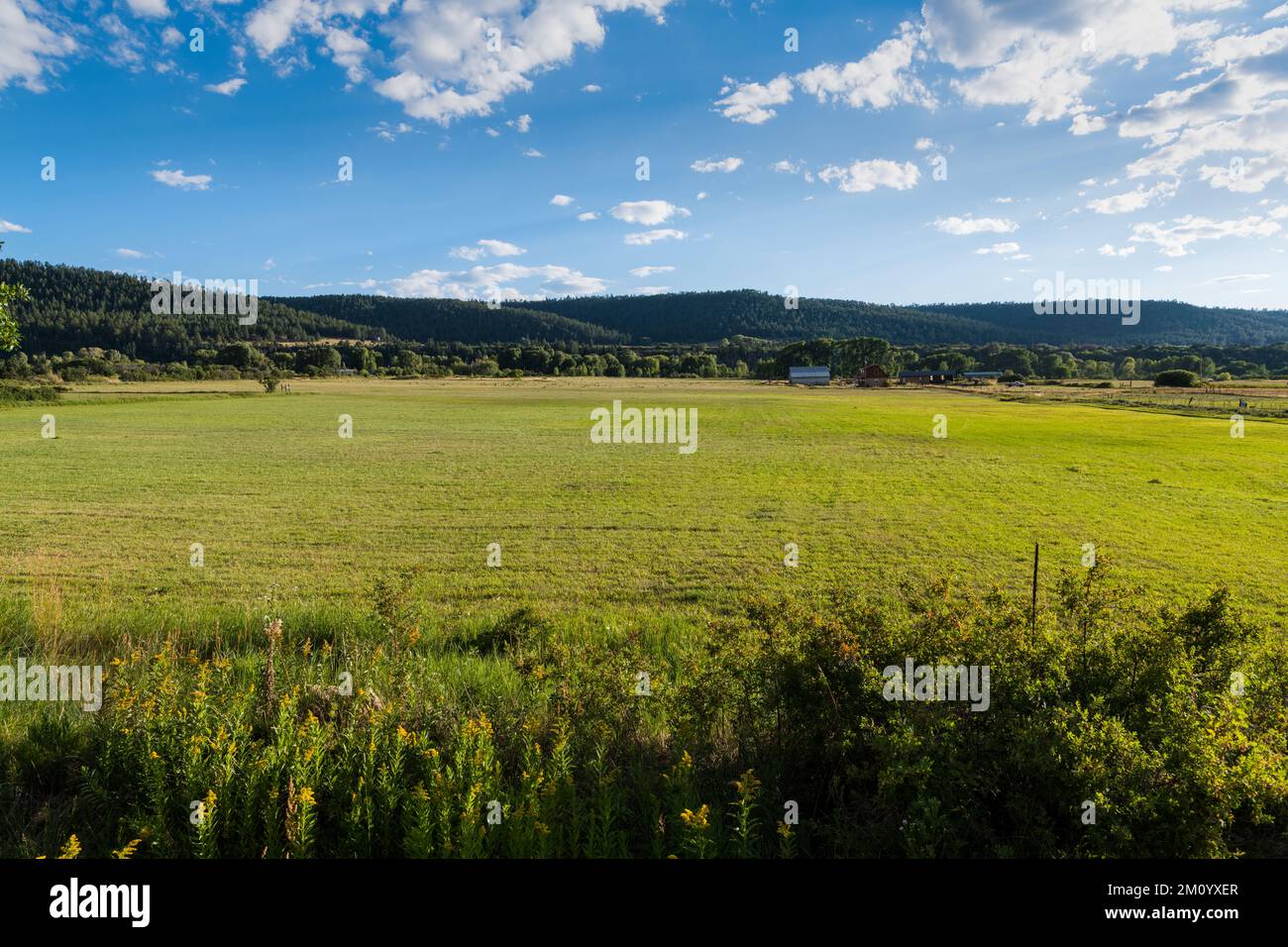 Pastoral scenery in western hi-res stock photography and images - Alamy