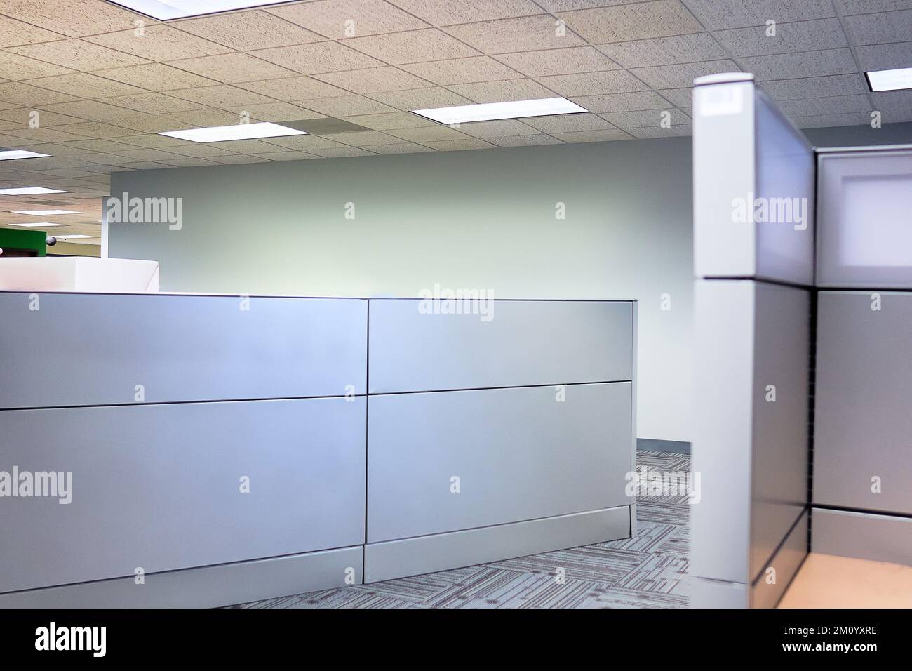 office space and file cabinet green wall carpet cubical Stock Photo - Alamy