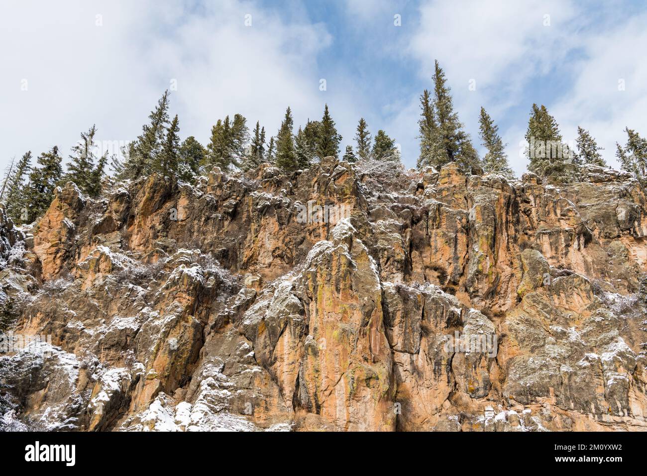 Trees woods stormy sky hi-res stock photography and images - Alamy