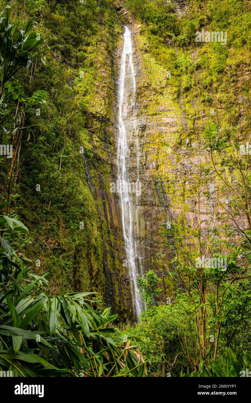 Waterfall cascades down a cliff face in a lush tropical rainforest ...