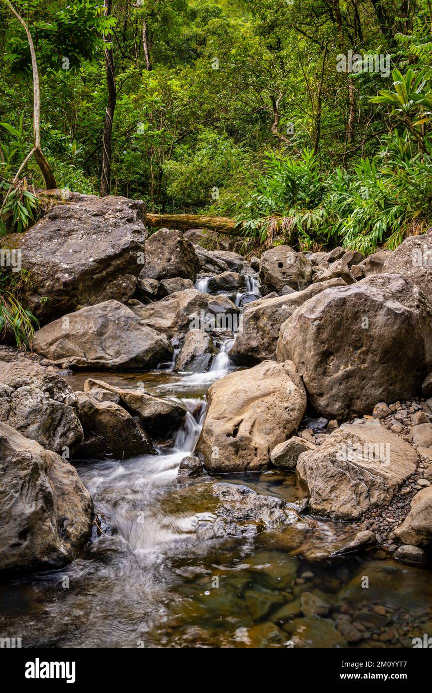 Vertical view of stream flowing over boulders to a calm pool in a lush ...