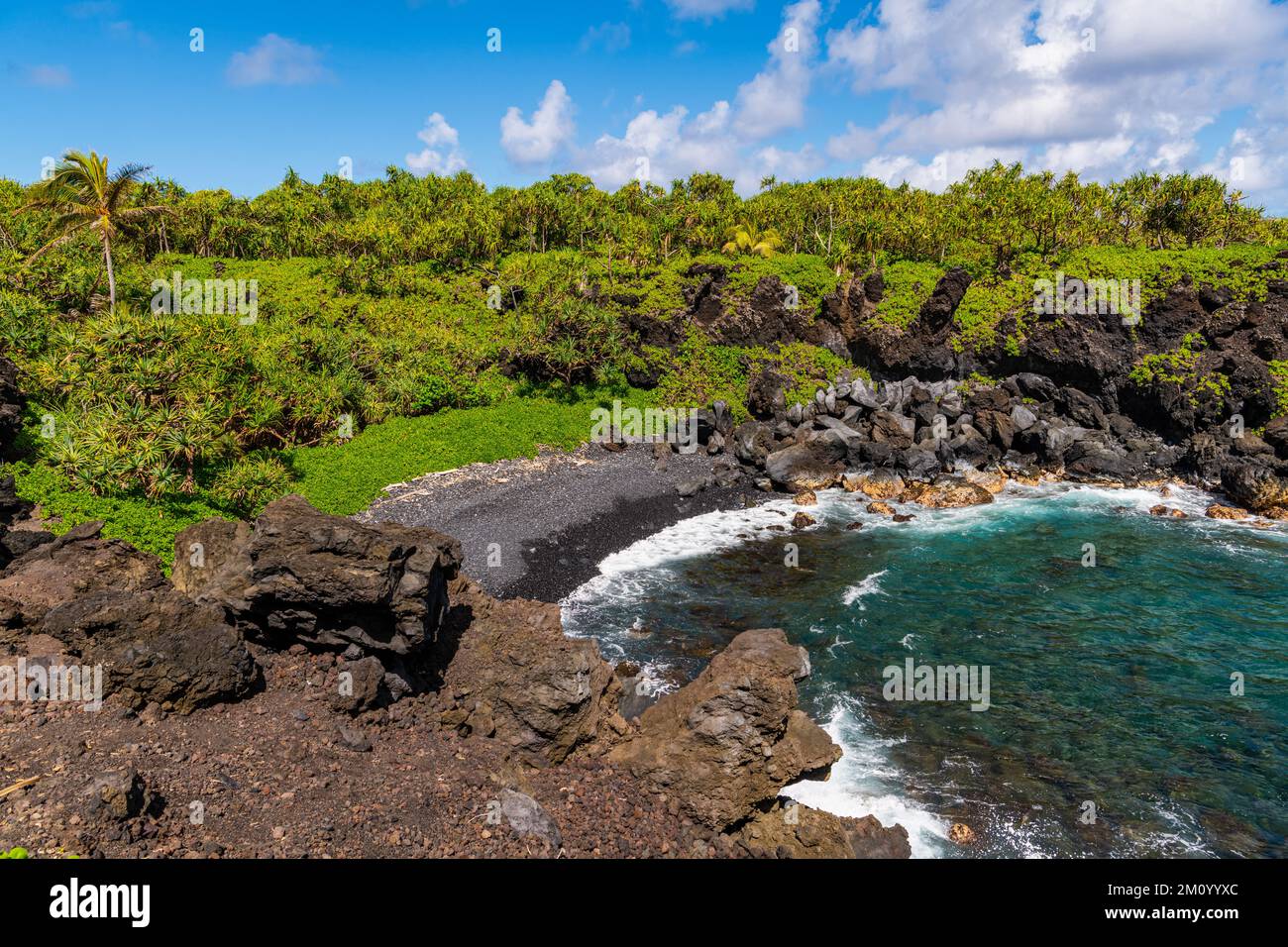 Black sand beach, lava rock formations, and palm trees above a cove ...