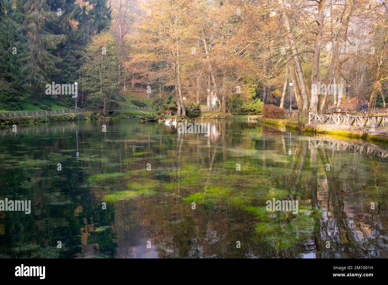 Autumn in Vrelo Bosne Park in Bosnia and Herzegovina Stock Photo - Alamy