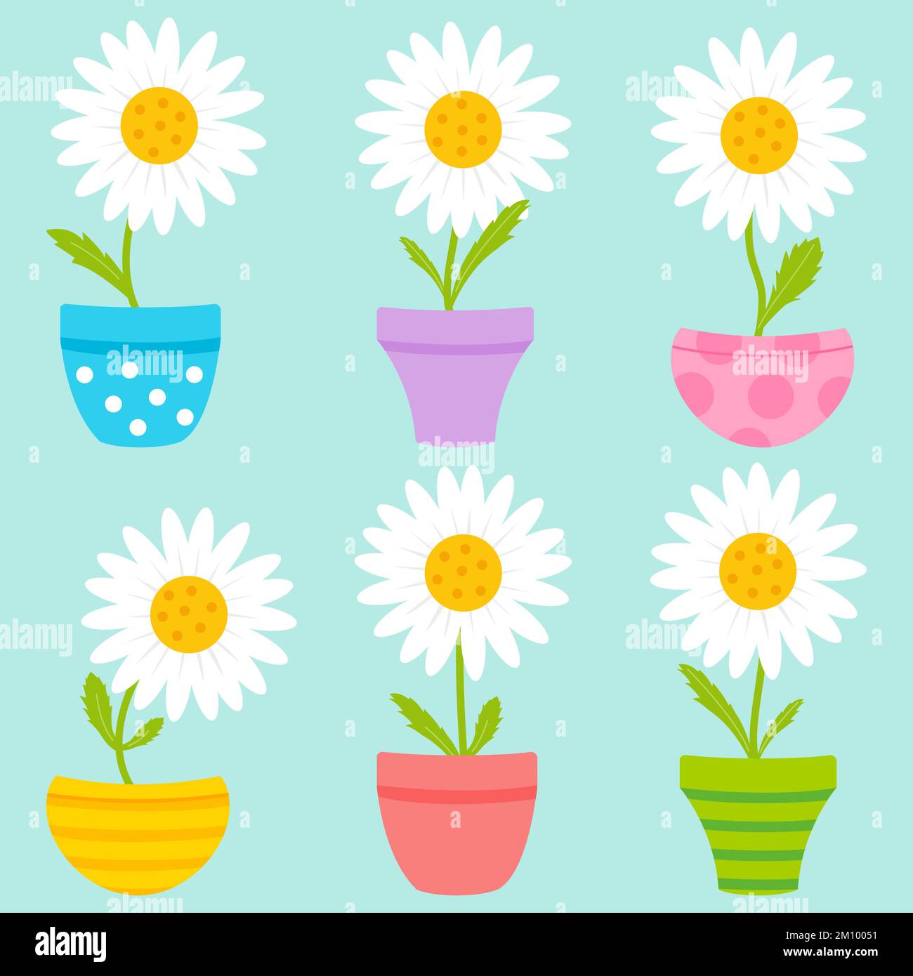 Daisy flowers on colorful pots. Vector illustration set Stock Vector ...