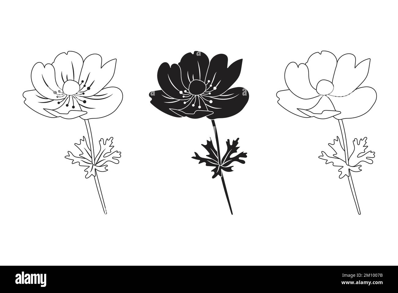 Set of hand drawn anemone poppies flowers on white background. Vector ...