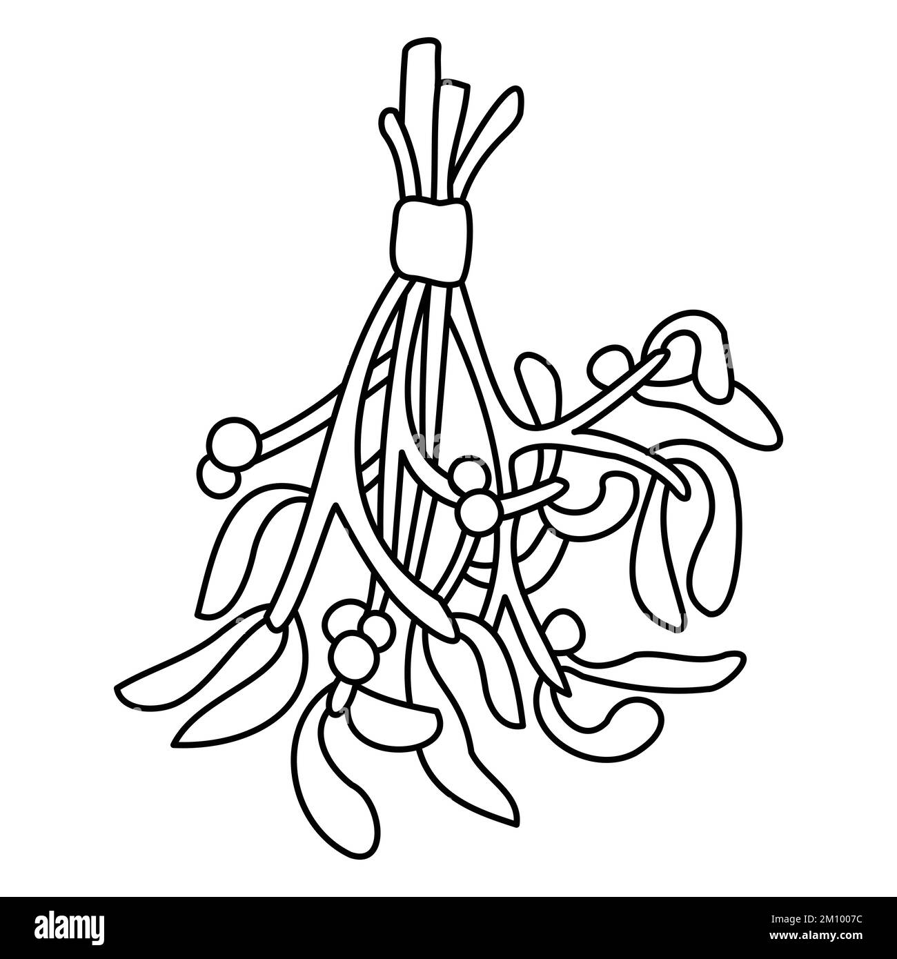 Line drawing mistletoe Stock Vector Images - Alamy
