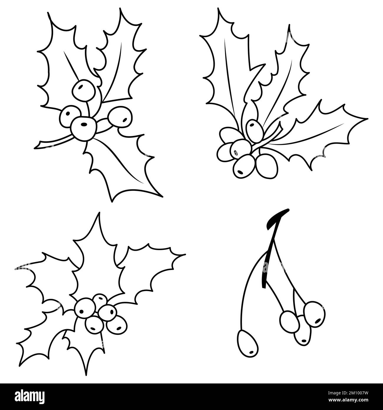 Christmas vector holly branches, leaves and berries, Christmas holiday ...