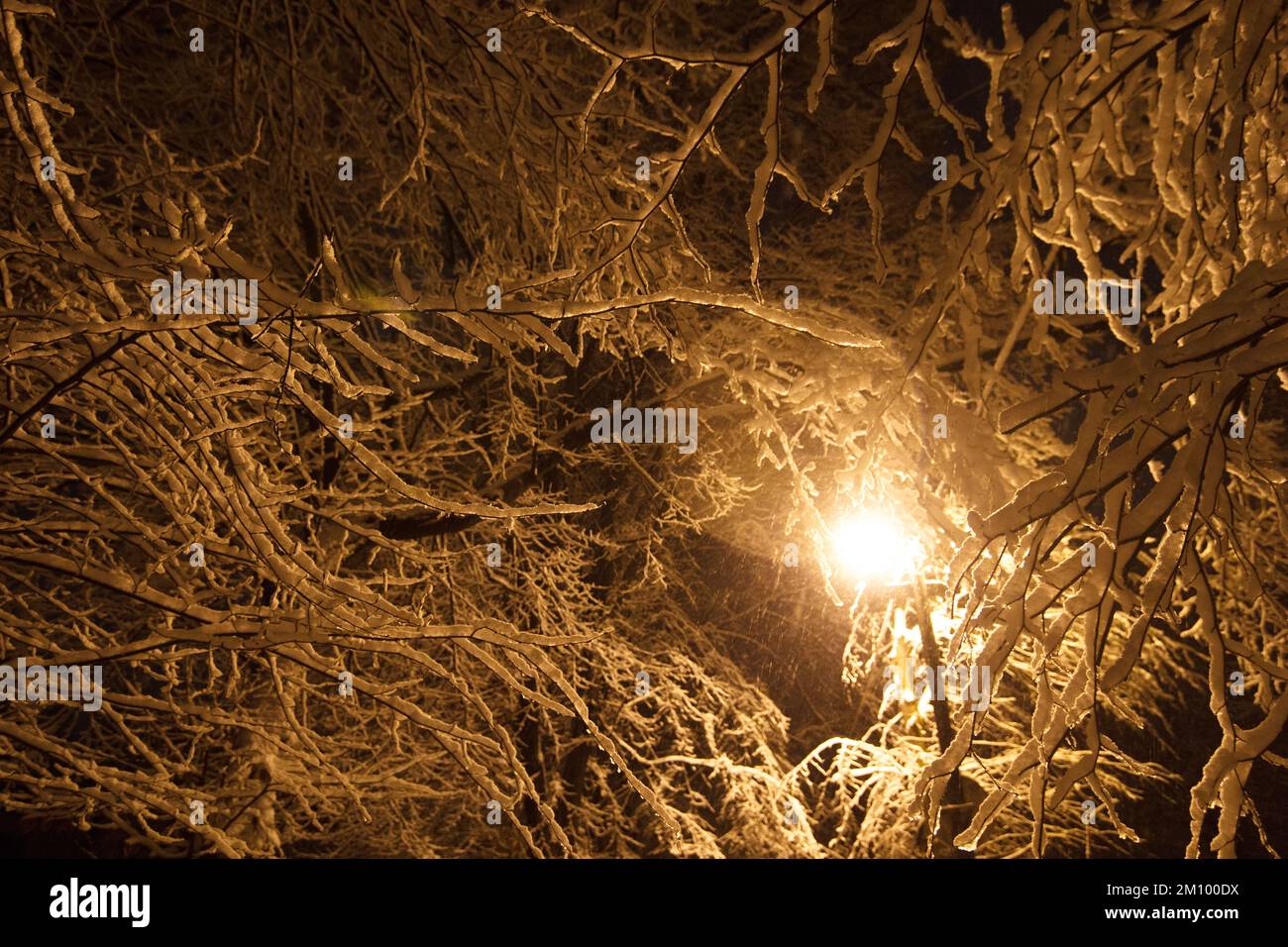 Street light snow hi-res stock photography and images - Alamy