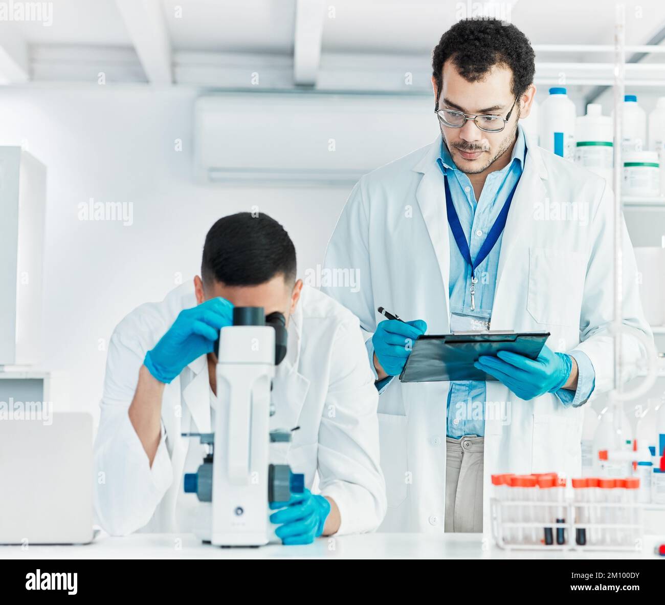 You have to record everything you observe. two young scientists working ...