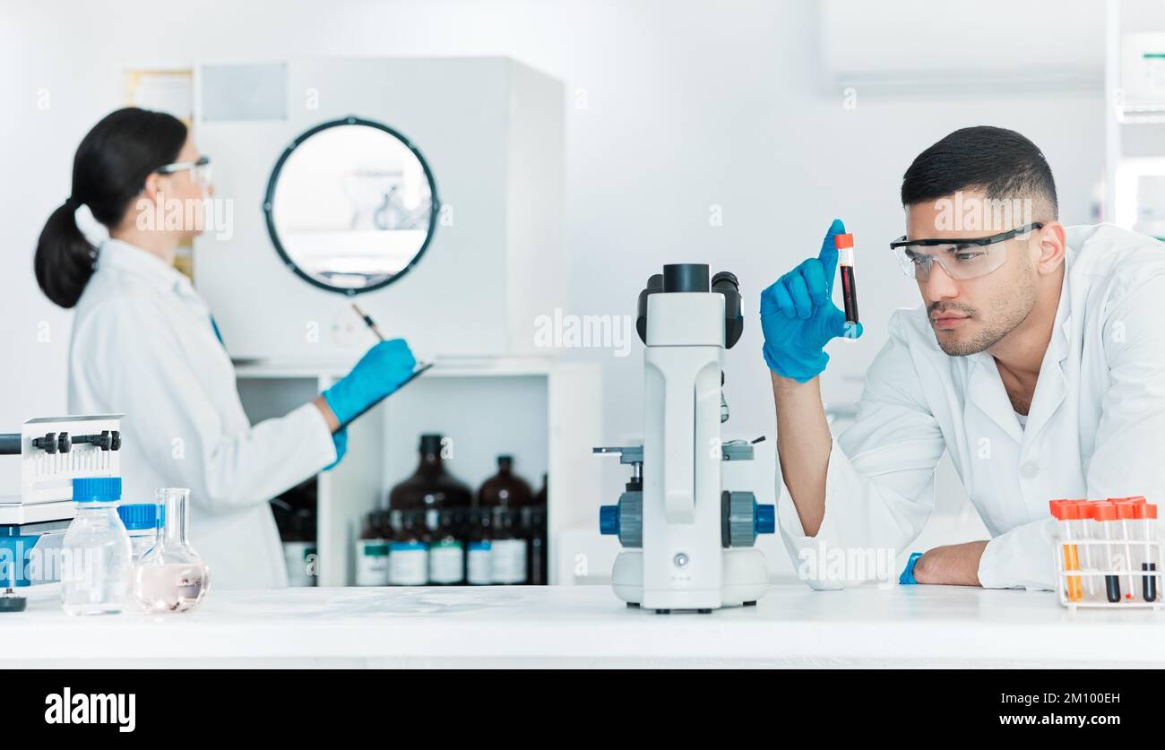 Preparing a new specimen. a young scientist analysing samples while ...
