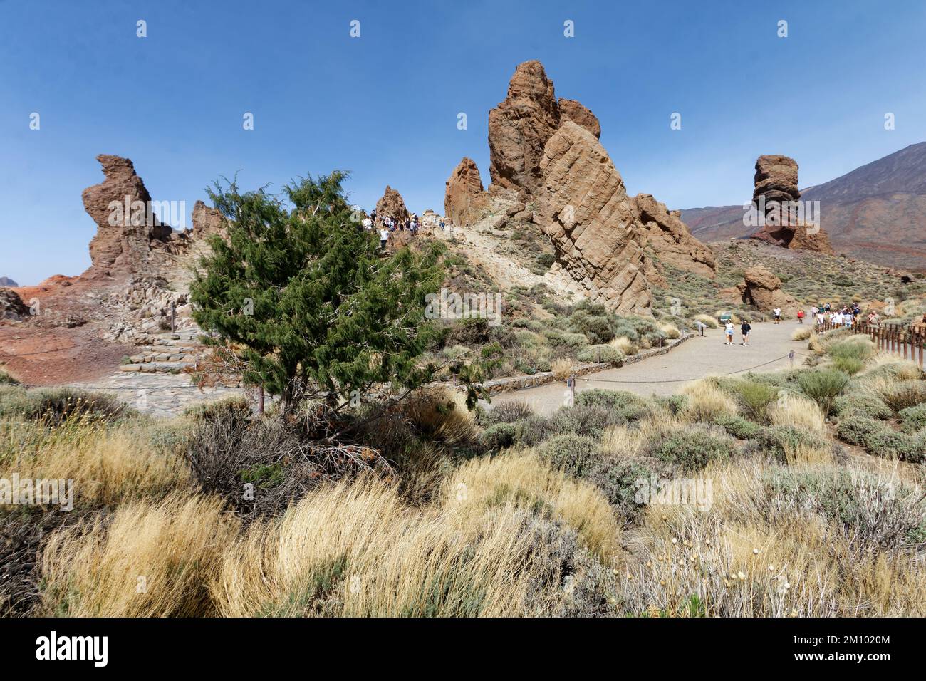 Roque cinchado canary islands hi-res stock photography and images - Alamy