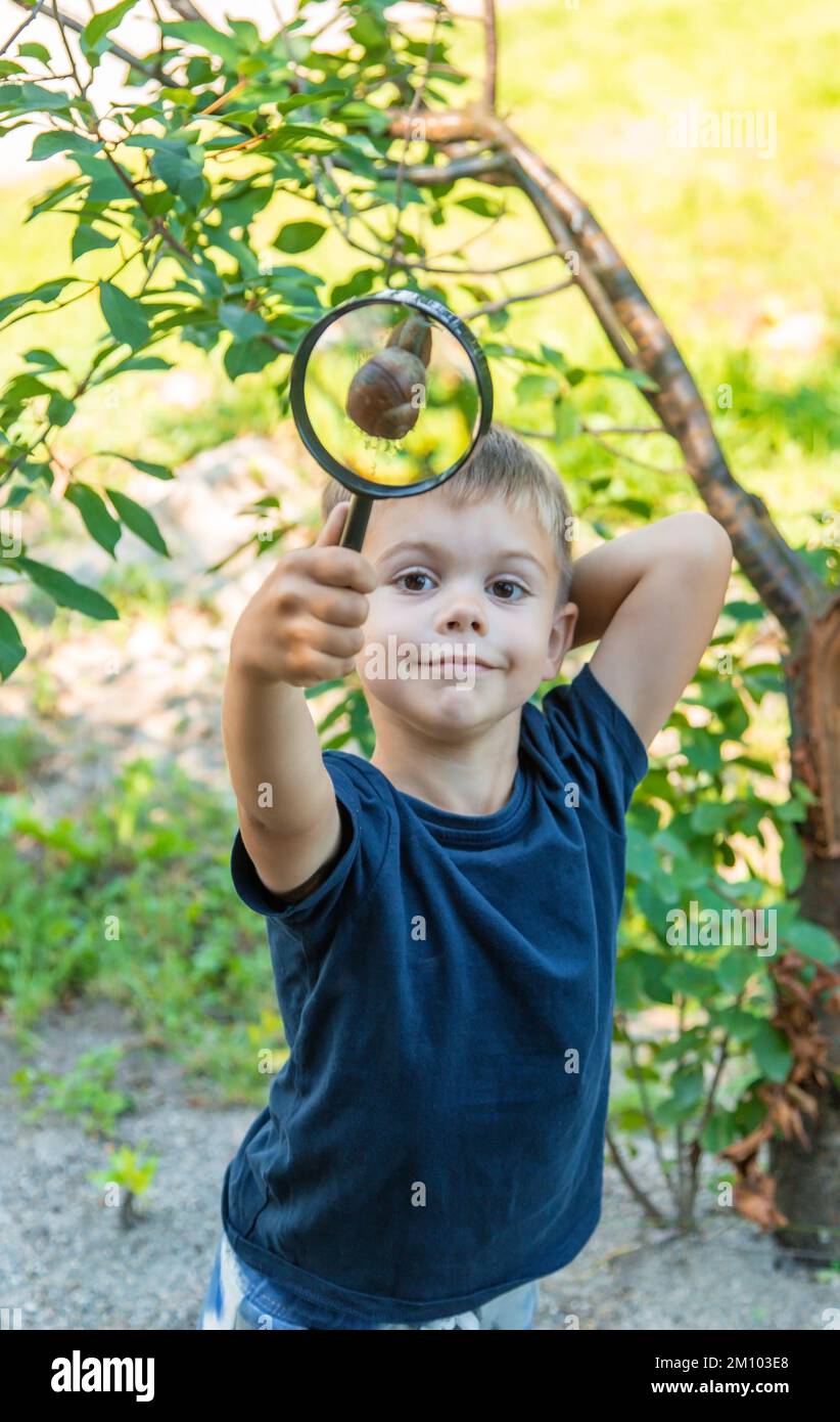 The child looks at the snail nature. Selective focus. Animal Stock ...