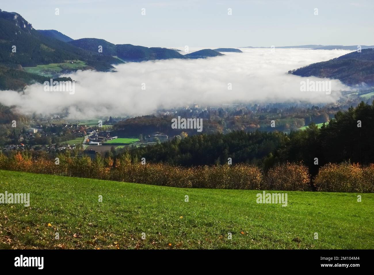 amazing dense white fog in a valley with a green meadow Stock Photo - Alamy