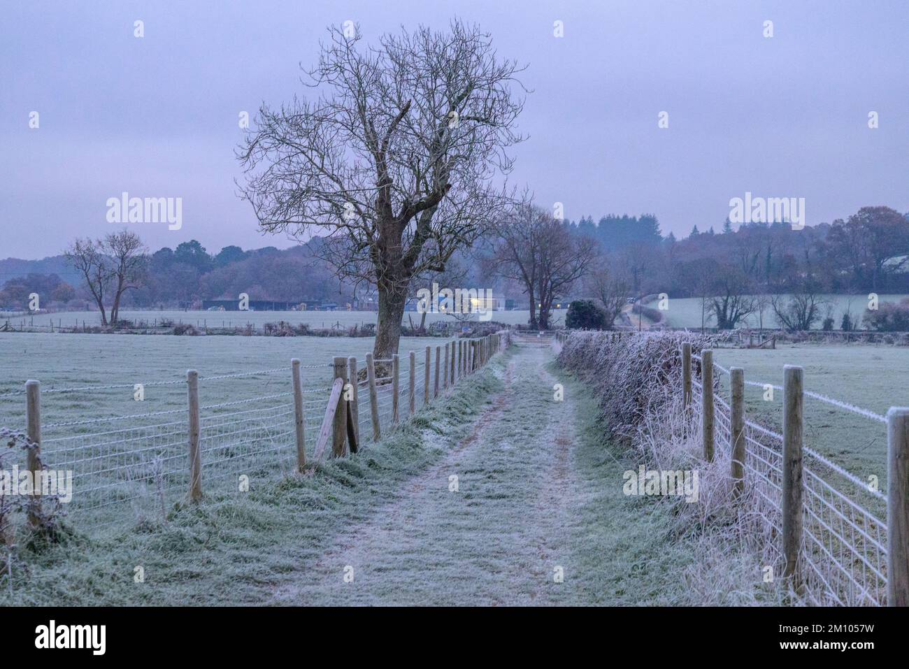 Uk weather december 2022 hi-res stock photography and images - Alamy