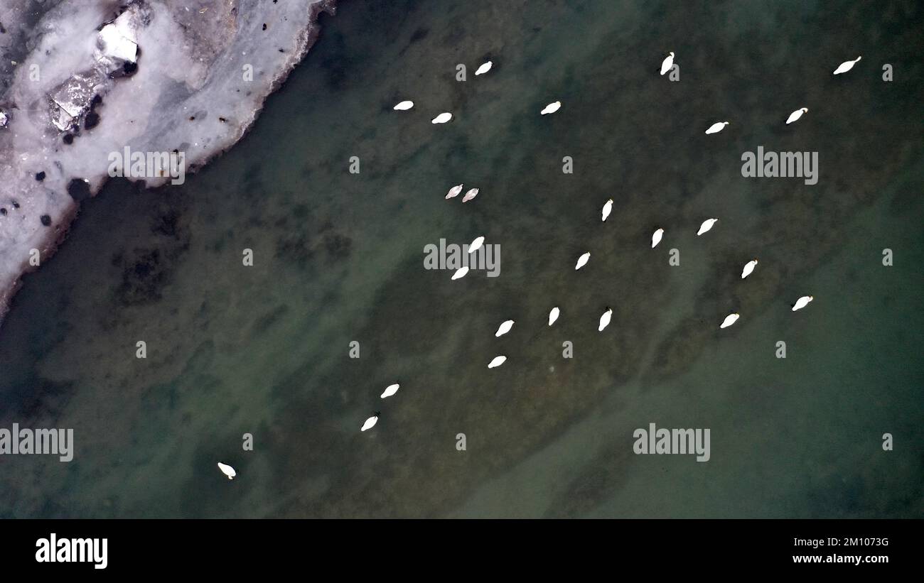 Aerial photo shows the frozen Kongque River in Korla City, northwest ...