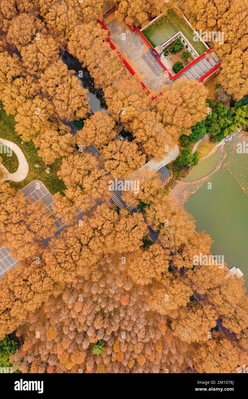 Aerial photo shows the winter London planes scenery of Yellow River ...