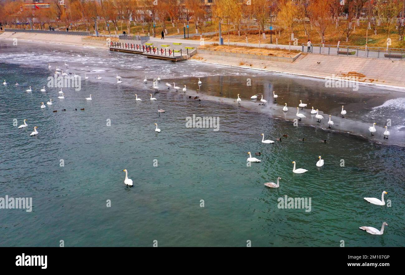 Aerial photo shows the frozen Kongque River in Korla City, northwest ...