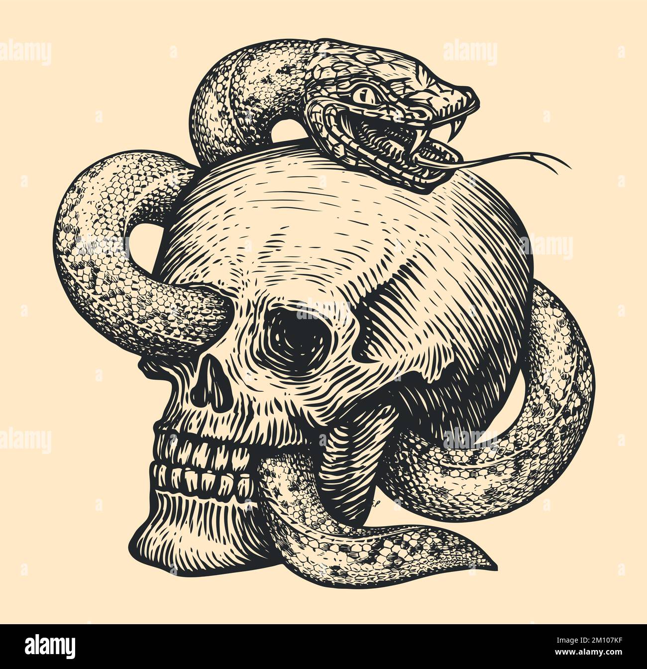 Venomous snake wraps around a human skull. Hand drawn sketch in vintage ...