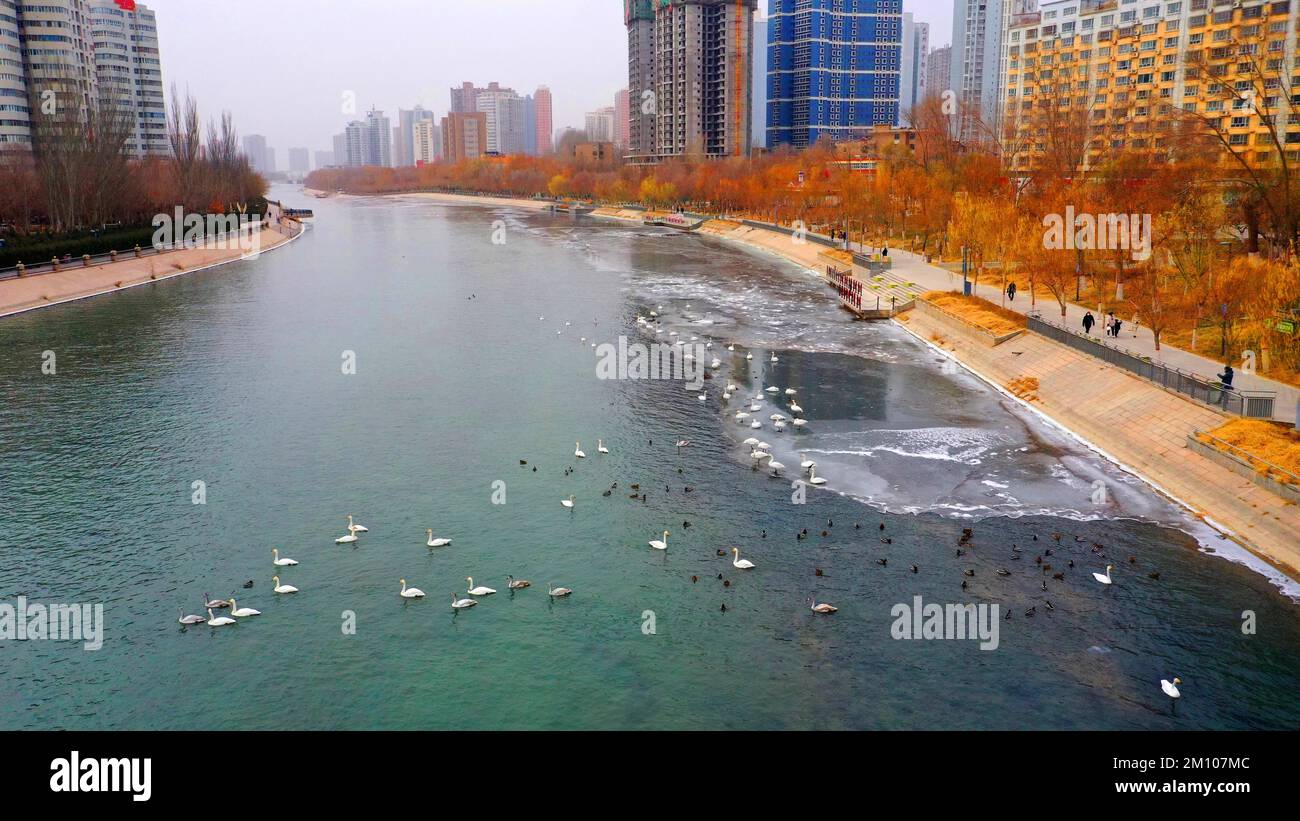 Aerial photo shows the frozen Kongque River in Korla City, northwest ...
