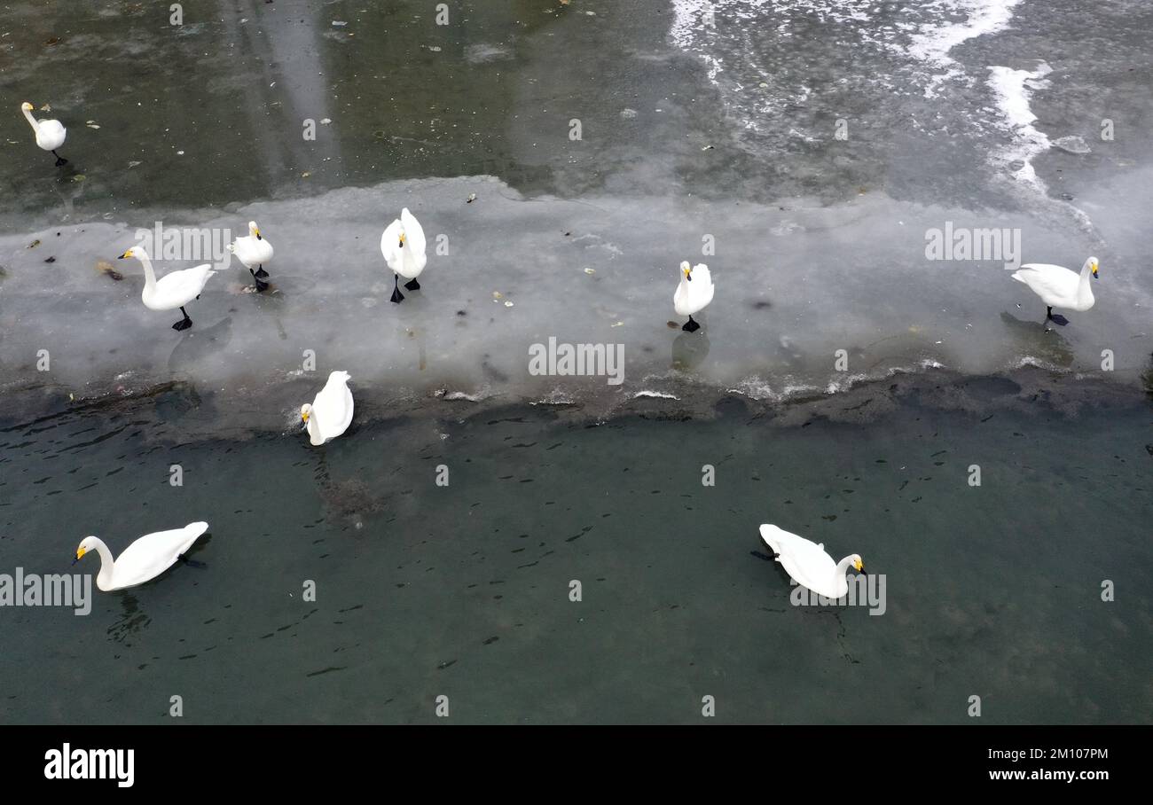 Aerial photo shows the frozen Kongque River in Korla City, northwest ...