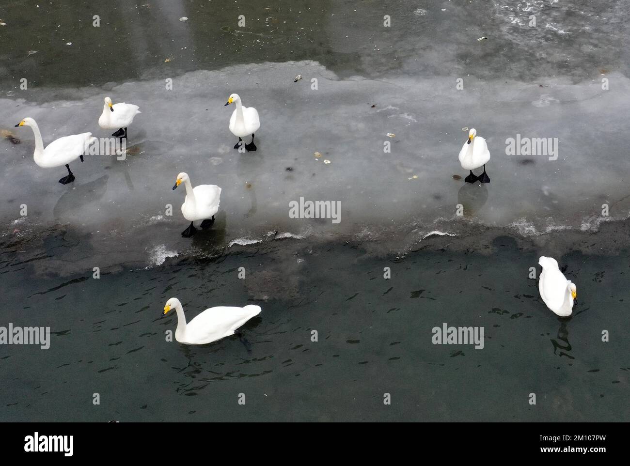 Aerial photo shows the frozen Kongque River in Korla City, northwest ...