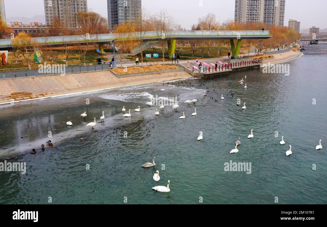 Aerial photo shows the frozen Kongque River in Korla City, northwest ...