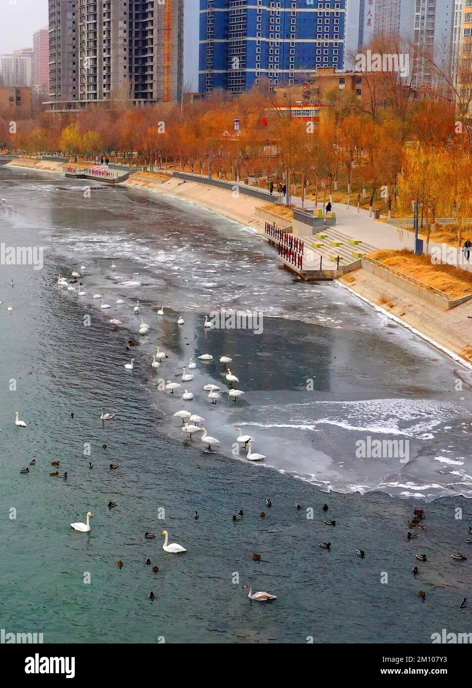 Aerial photo shows the frozen Kongque River in Korla City, northwest ...