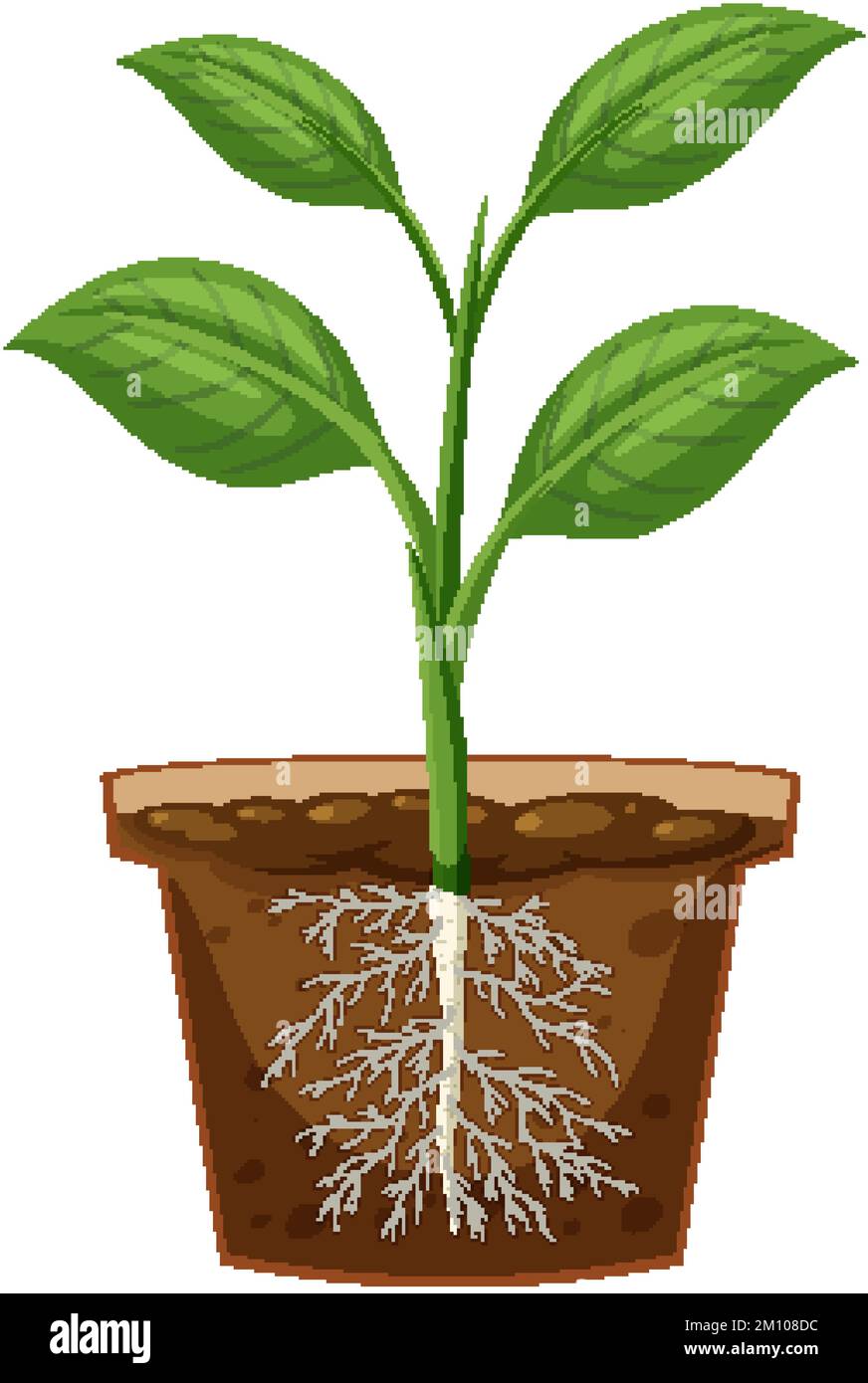 Plant in the pot with root system illustration Stock Vector Image & Art ...