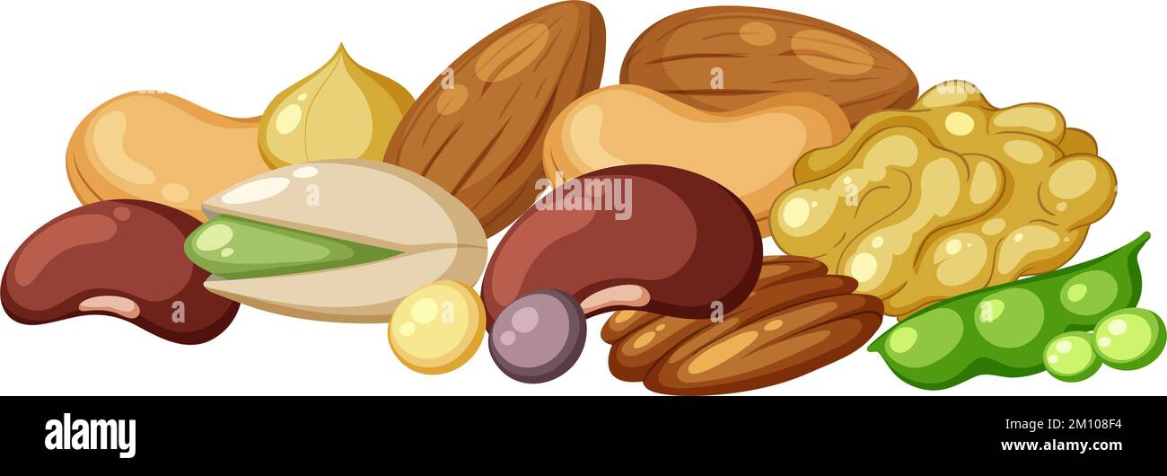 Pile of different nuts illustration Stock Vector Image & Art - Alamy