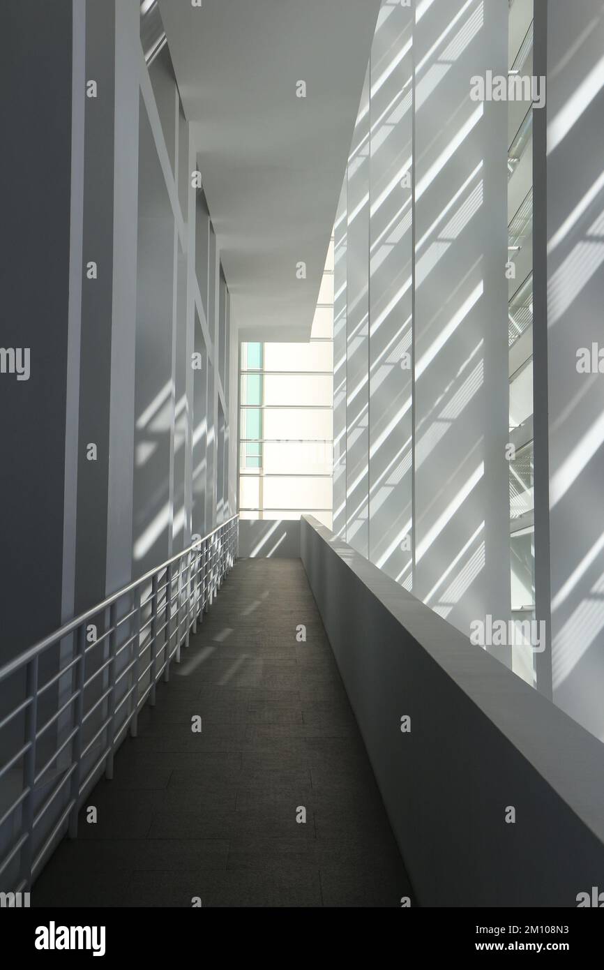 A vertical shot of a hallway in a modern building with big panoramic ...