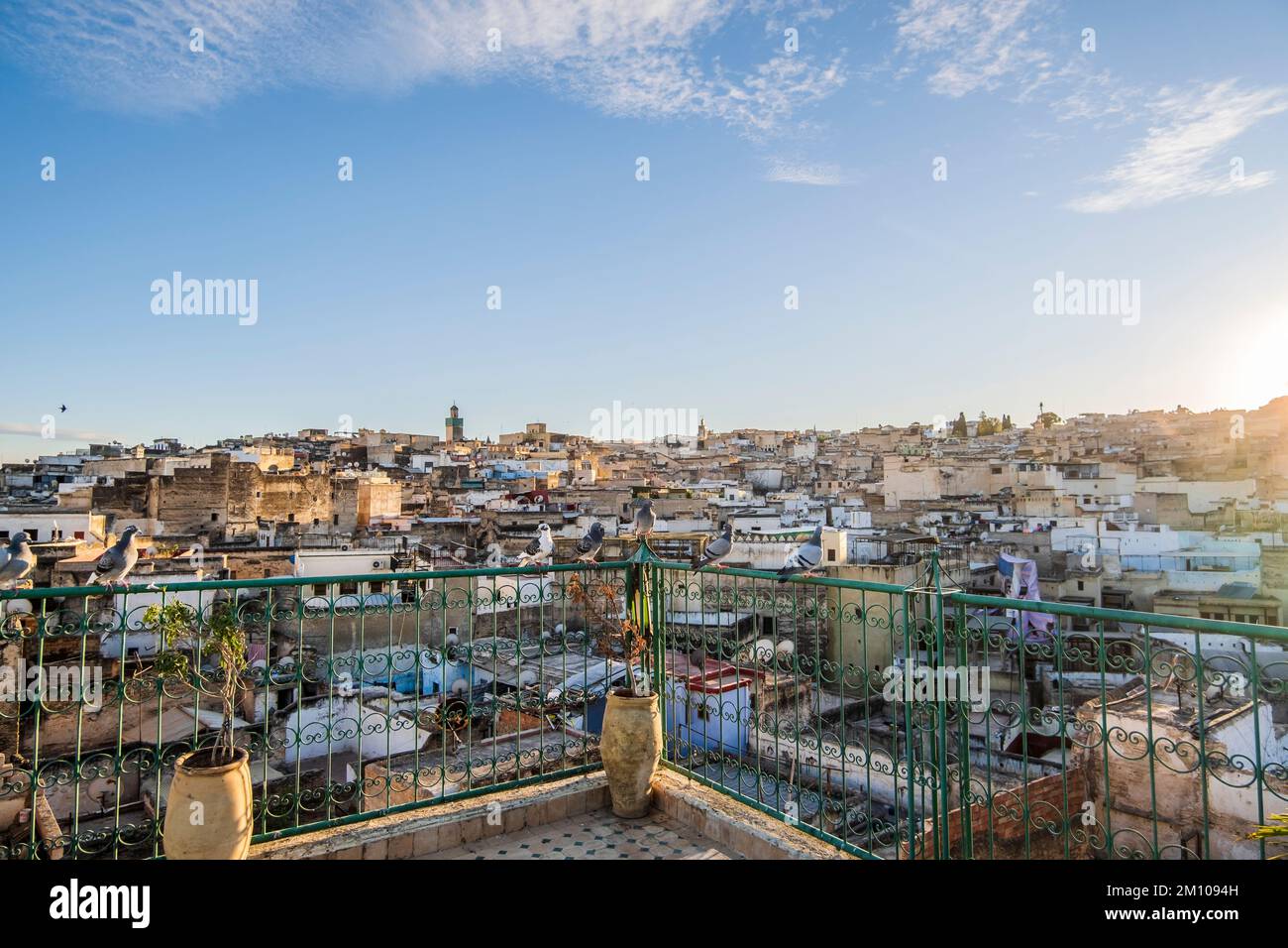 Medina of Fez skyline with pigeons resting on rooftop terrace at sunset ...