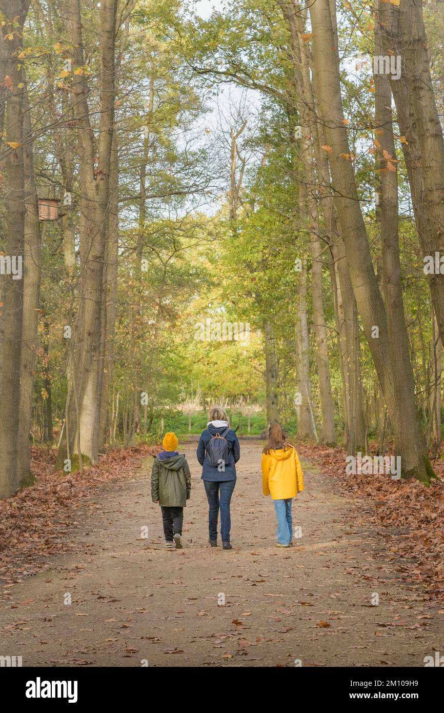 Family walk in the autumn park along the path in the forest. Mom with ...