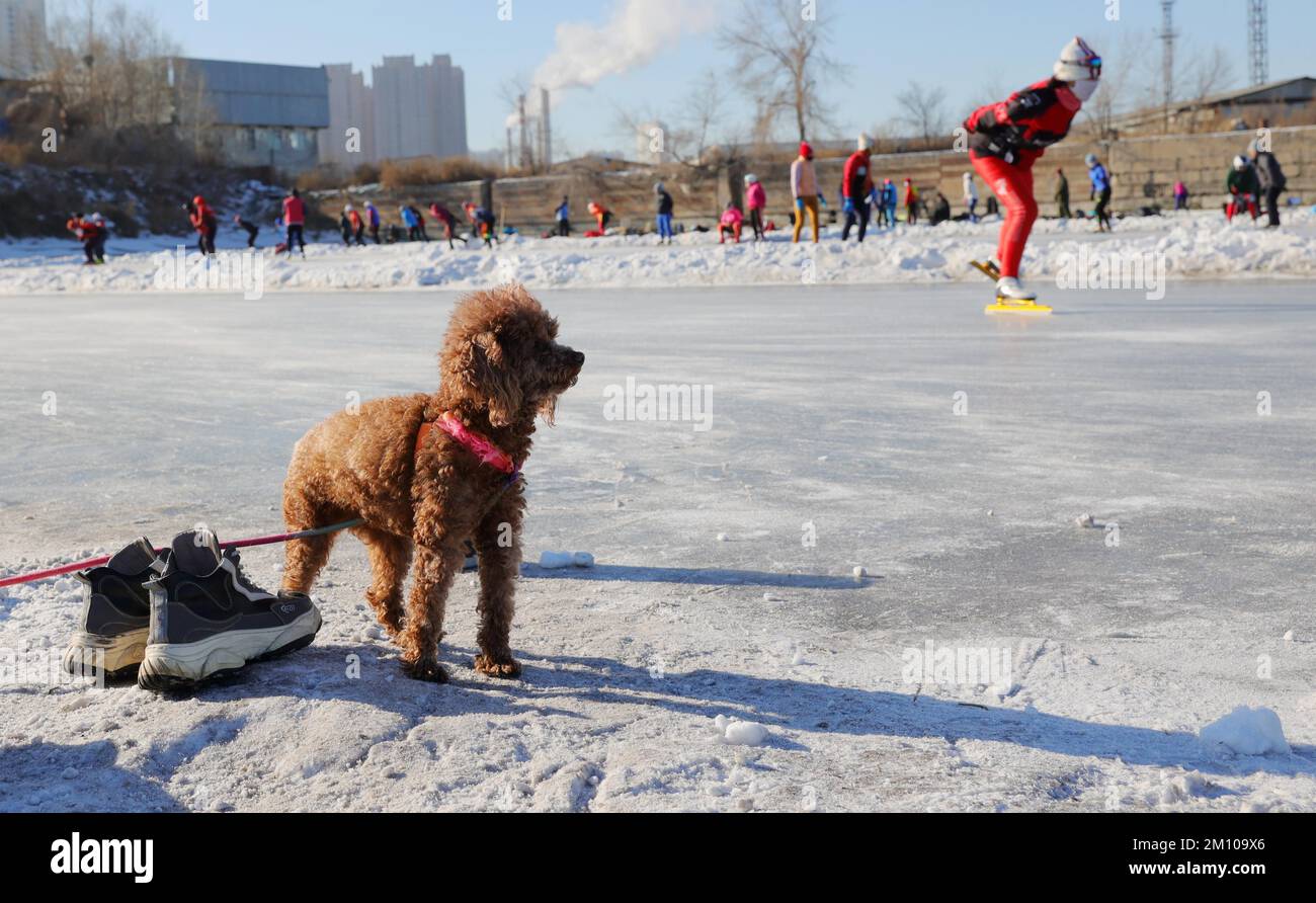 Many citizens enjoyed the fun of skating on the natural ice field ...