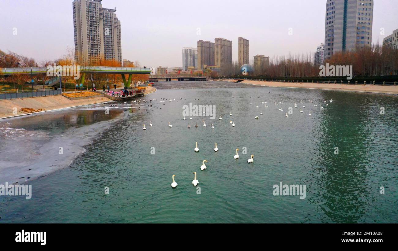 Aerial photo shows the frozen Kongque River in Korla City, northwest ...