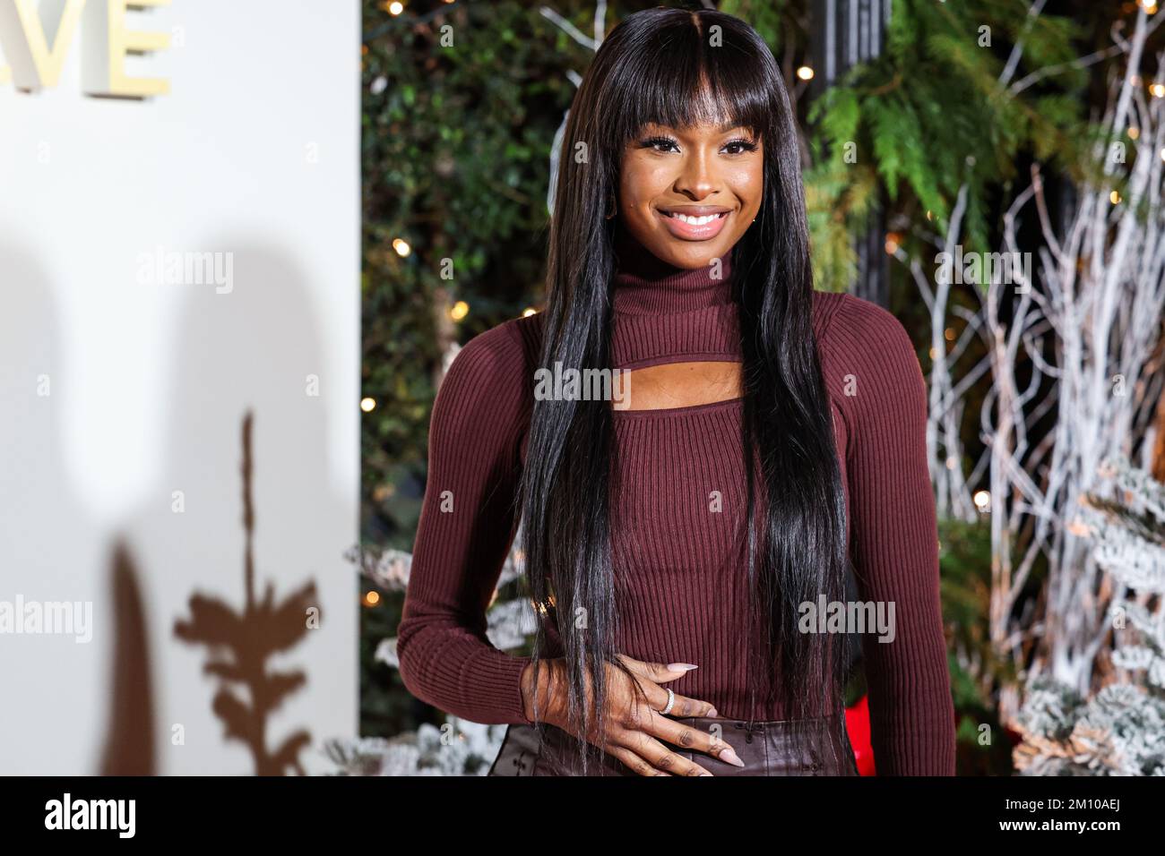 BEVERLY HILLS, LOS ANGELES, CALIFORNIA, USA - DECEMBER 08: American ...