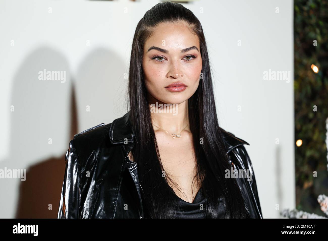 Beverly Hills, United States. 08th Dec, 2022. BEVERLY HILLS, LOS ...